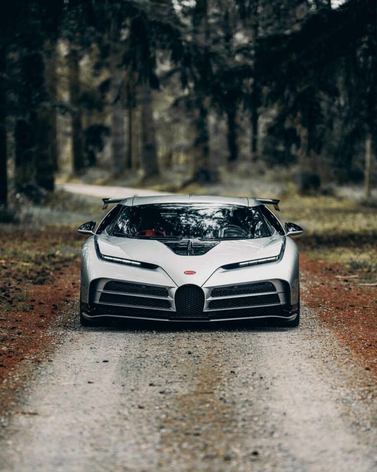 [부가티] Deep into the forest that encircles the home of endurance racing ...